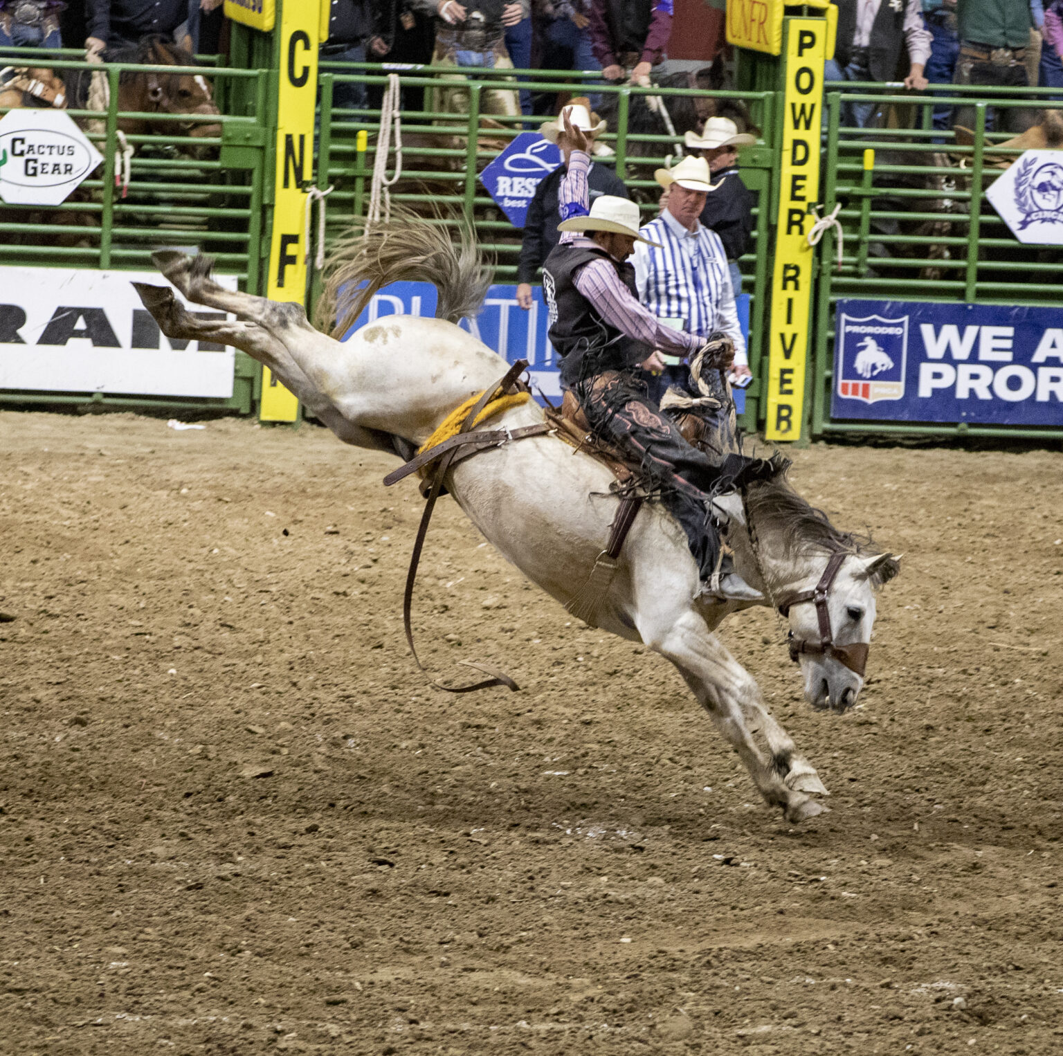 Five Eagles place at College Nationals Rodeo – USU Eastern Eagle