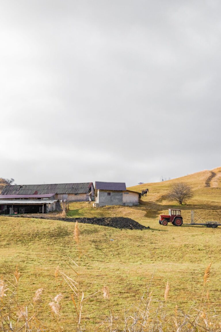 Smithsonian Exhibition, Crossroads: Change in Rural America Explores ...