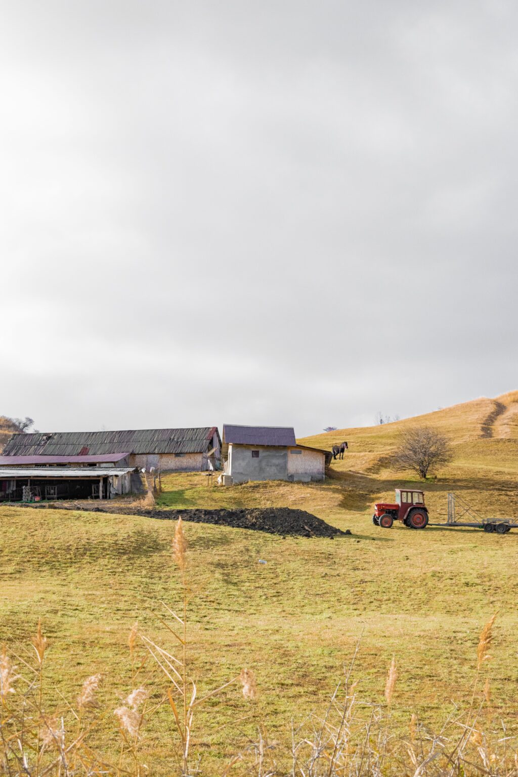 Smithsonian Exhibition, Crossroads: Change in Rural America Explores ...